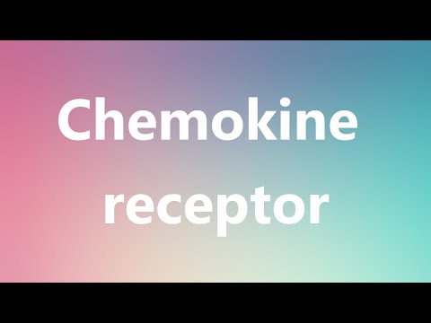 Chemokine receptor - Medical Meaning and Pronunciation