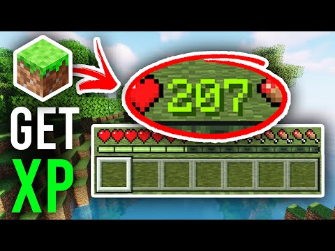 How To Give Yourself XP In Minecraft (Bedrock & Java) | Minecraft XP Command