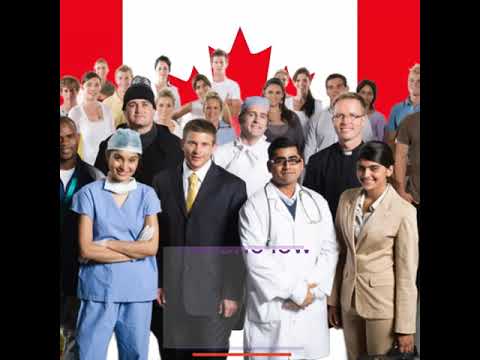 Unemployment rate among Canadian immigrants at historic low.