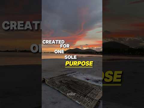 Our Purpose In Life As A Muslim…💖🌷 #alhamdulillah #muslim #sabr #purpose #jannah #subhanallah