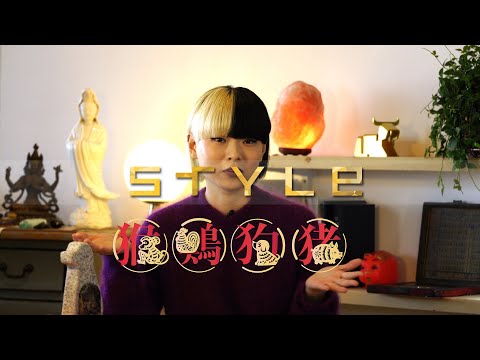 Year of the rat 2020: Chinese zodiac predictions for the monkey, rooster, dog and pig - part 3