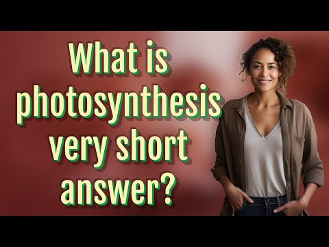 What is photosynthesis very short answer?