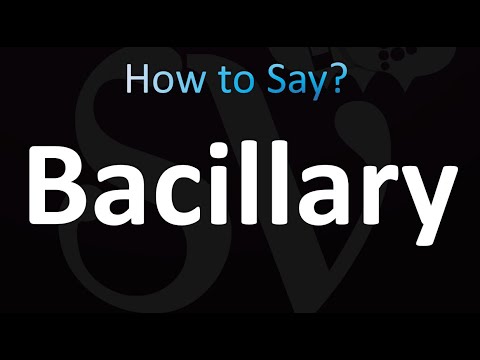 How to Pronounce Bacillary (Correctly!)