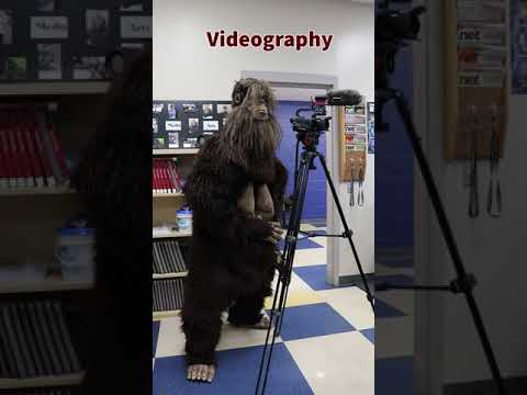 What Do You Do in Digital Media?