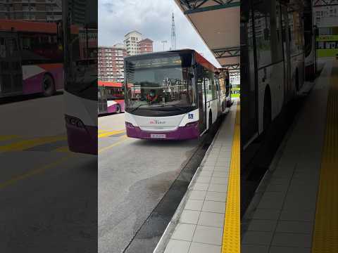 [SBST] SBS8433H On Service 116 - Scania K230UB Euro IV Gemilang Batch 2
