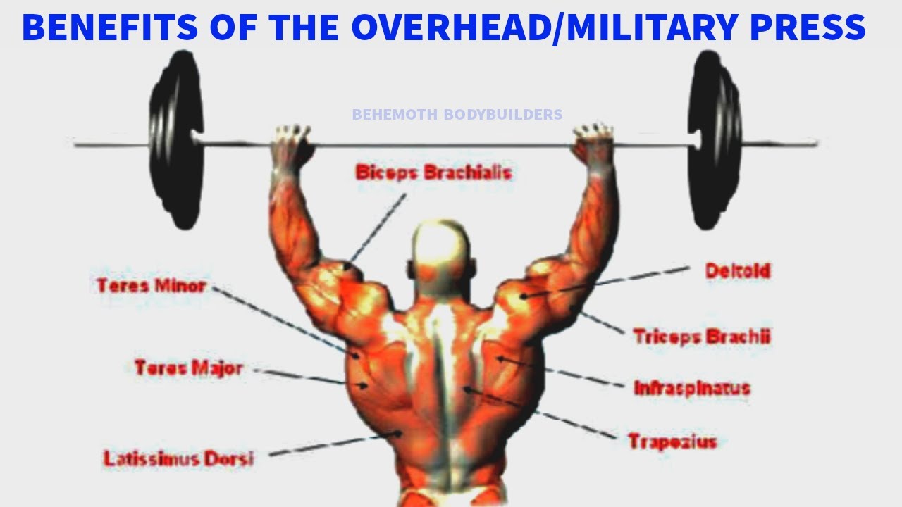 Benefits of The Overhead/Military Press