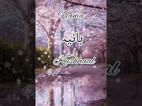 Hania name meaning #islamicstatus #islamicvideo