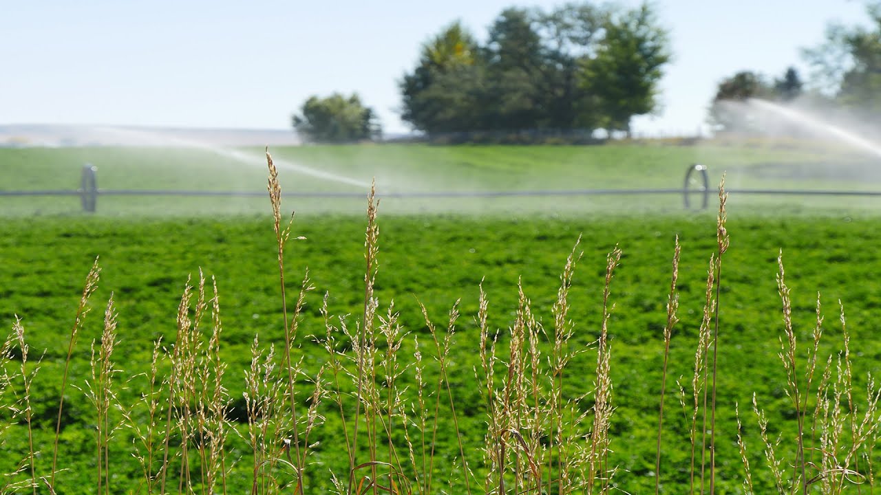 Mile High Ranch | Soil Management on Wyoming Farms & Ranches