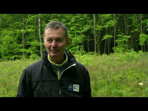Life Terra & CINEA planting trees in Belgium – gifting a tree to each winner of Green Week 2021