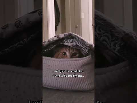incognito mode activate. (SUBSCRIBE)