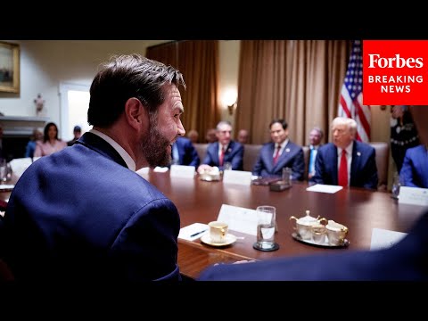 JD Vance Rips Media For Response To Trump 'Diplomacy' At Cabinet Meeting