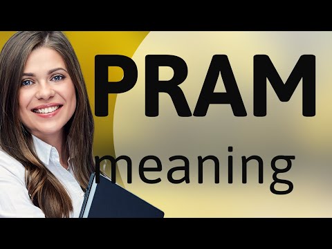 Pram — definition of PRAM
