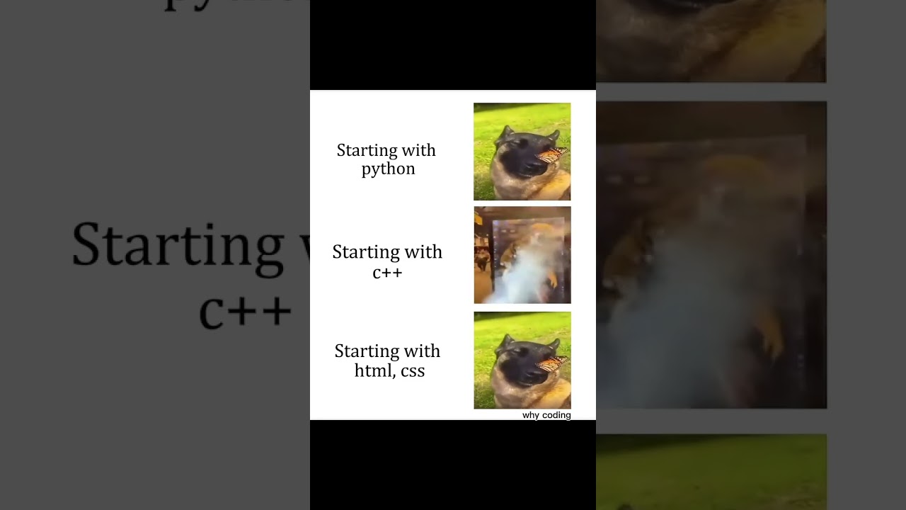 Starting coding with C++ as a beginner #webdevelopment #codingforbeginners #coding #learncoding