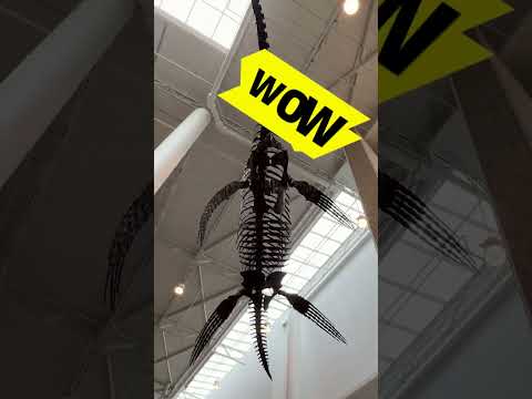 Wanna wow with us? Kärcher Regional Sales Manager