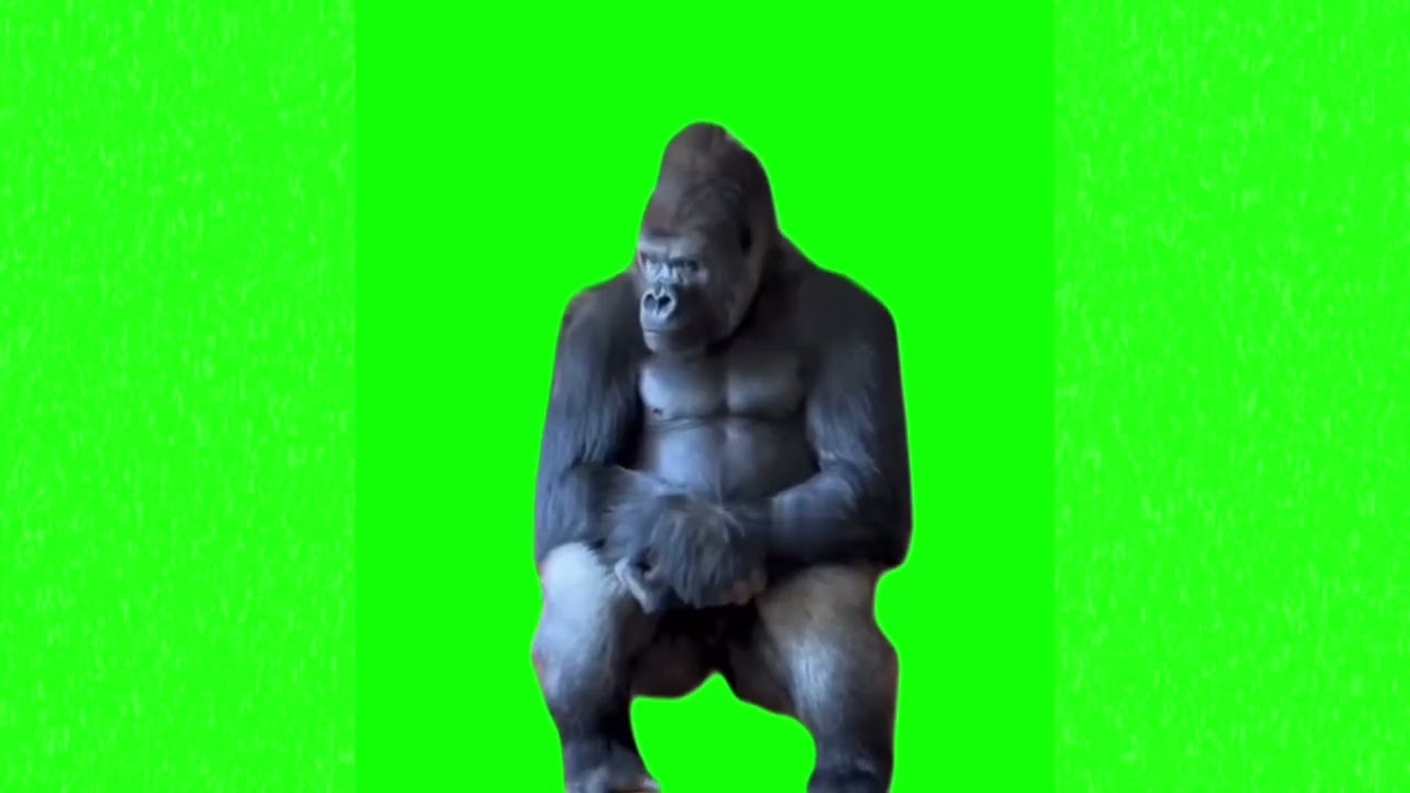 Sad Gorilla meme green screen