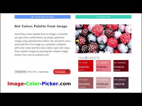 Extract colors from image with Color Palette Generator