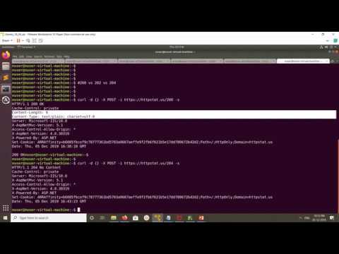 HTTP Status Codes 200 vs 202 vs 204 When to Use ?