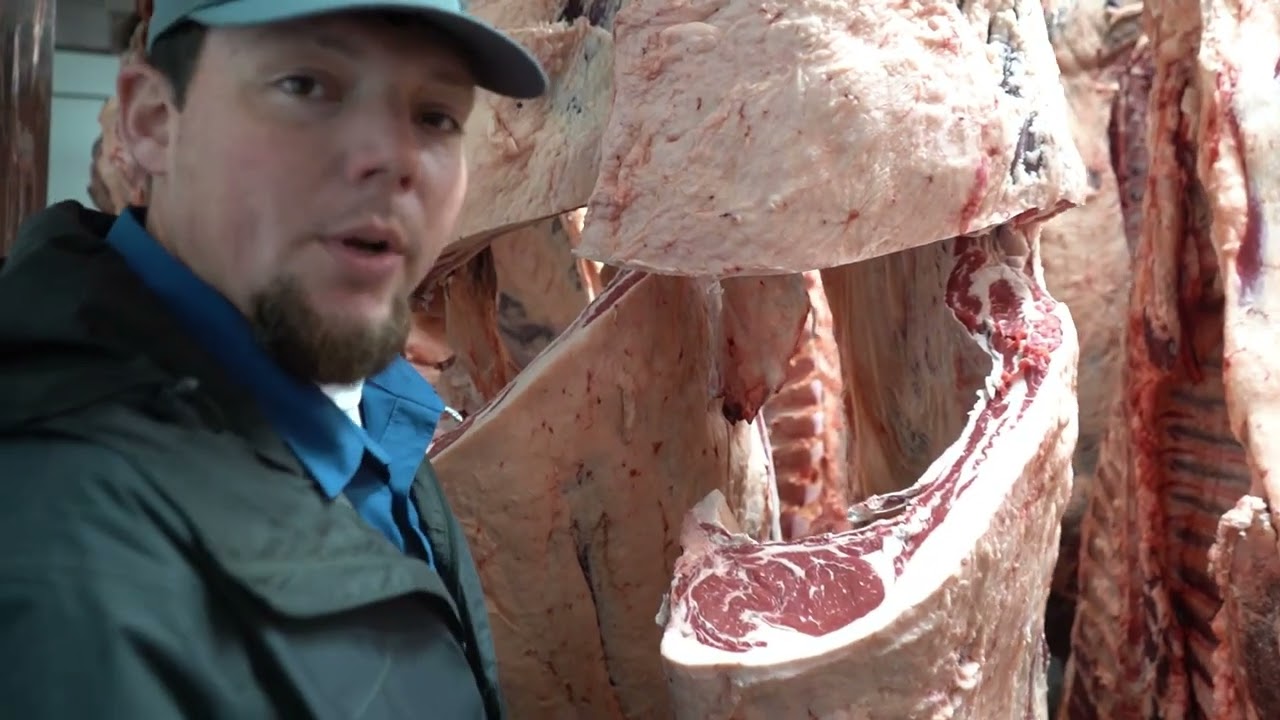 How is beef graded? (w/ OSU extension)