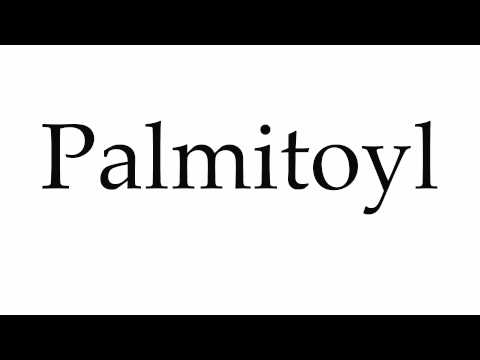 How to Pronounce Palmitoyl