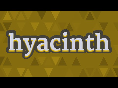 HYACINTH pronunciation • How to pronounce HYACINTH
