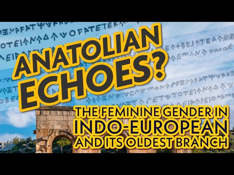 The Feminine Gender in Indo-European - Exploring Anatolian Echoes and the Curious *-h2 suffix