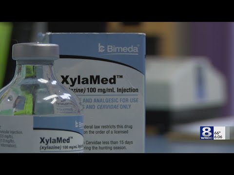 Xylazine Injections - Xylaxin Injections Latest Price, Manufacturers ...