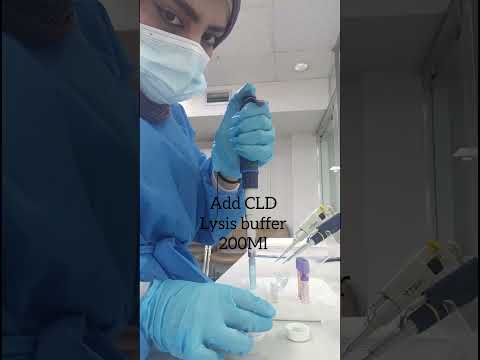 DNA extraction kit from Blood -promega /USA- company