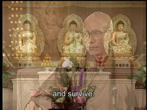 What is the meaning of sentient beings in Buddhist term?(GDD-1081)DVD