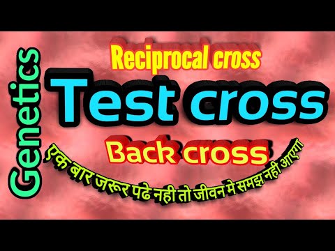 Reciprocal cross /back cross / test cross Video Lecture - NEET