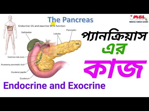 অগ্ন্যাশয় বা প্যানক্রিয়াস এর কাজ | ইনসুলিন | function of the pancreas Bangla | Dr shamim hosen