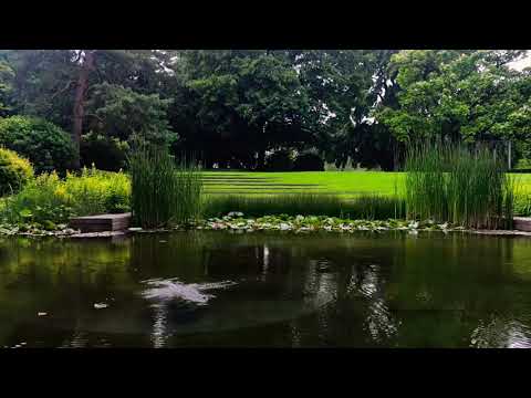 Sonic water lilies from Philippe Parreno at the Beyeler Foundation - Rardo Architects Sitges
