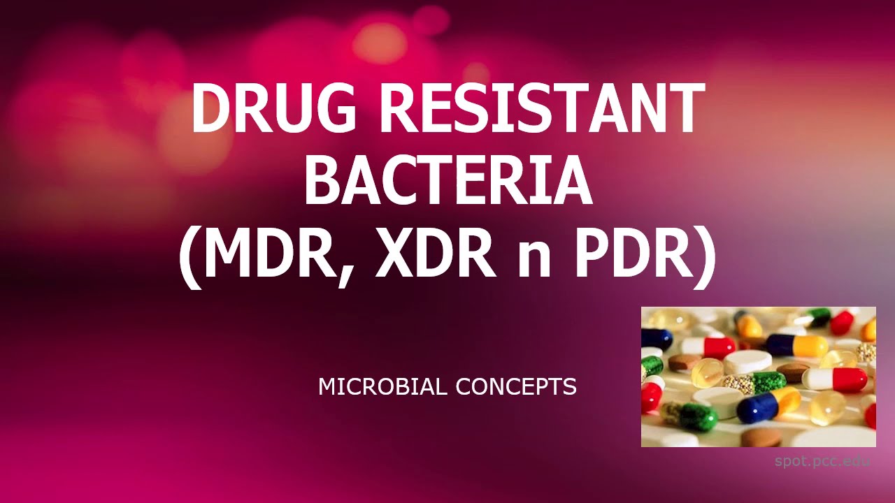 Understanding Drug Resistant Bacteria: MDR, XDR, and PDR Explained | Galaxy.ai