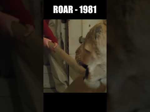 Roar Movie 1981 - Lion Biting Melanie Griffith