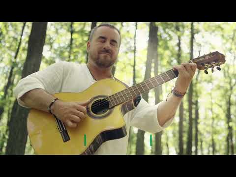 FELICITÁ-Al Bano & Romina Power - fingerstyle guitar cover by soYmartino
