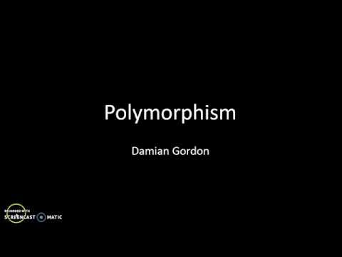 Python: Polymorphism
