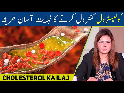High Cholesterol Treatment Urdu | Cholesterol Kam Karne Ka Tarika | Cholesterol Ka Ilaj