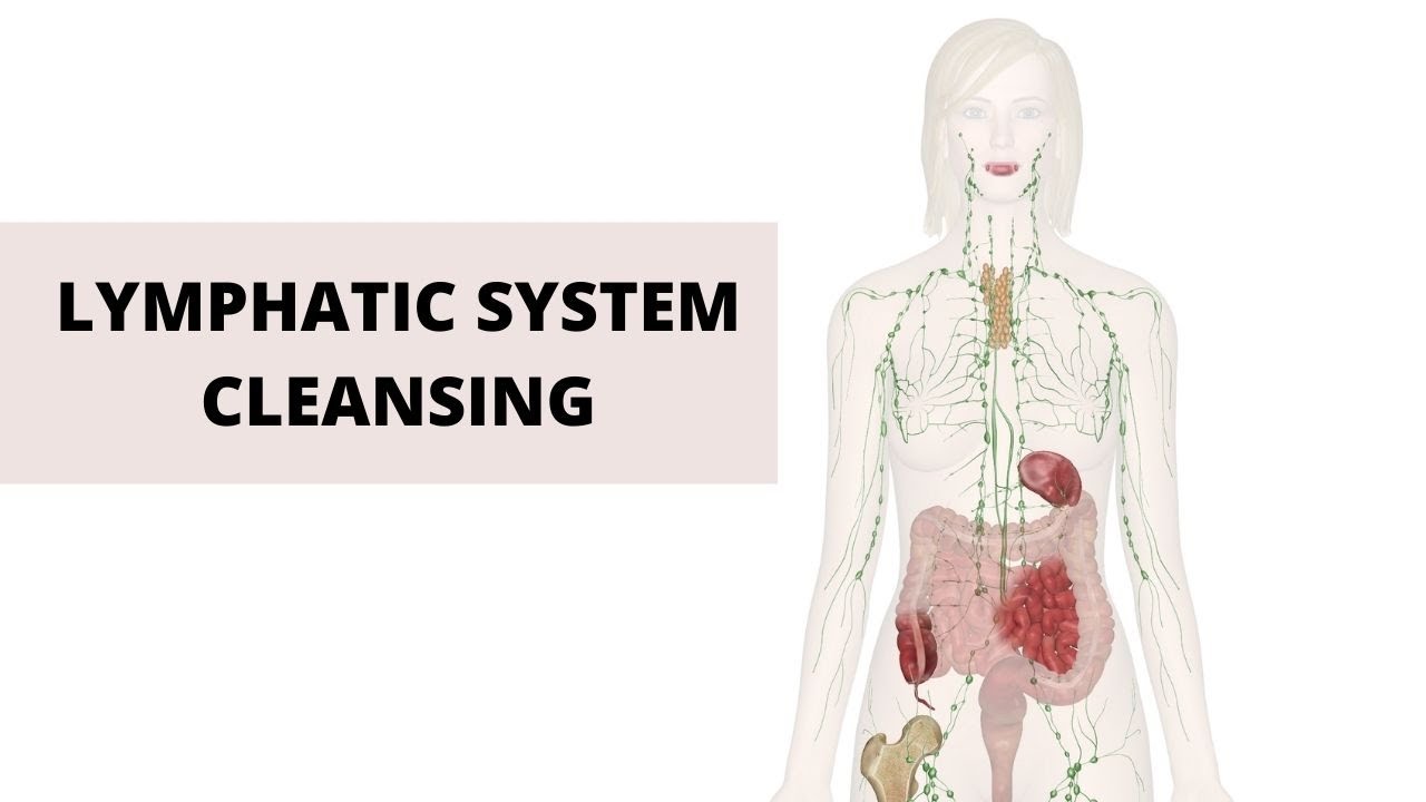 Lymphatic System Cleansing | 3 Simple Ways to Cleanse and Detoxify The Lymphatic Glands