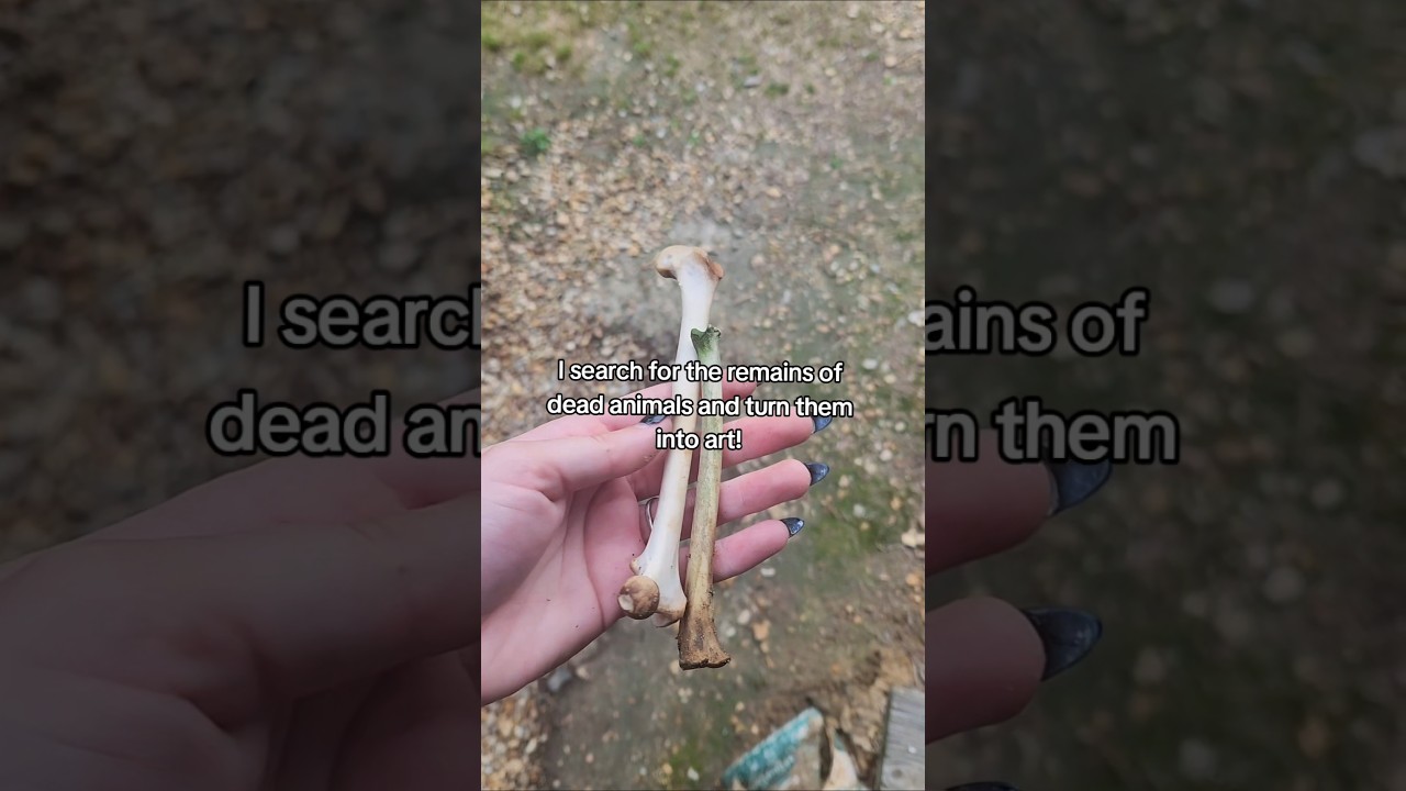 I cherish every bone in their body. #fyp #vultureculture #art #artist #message #bones #alt #viral