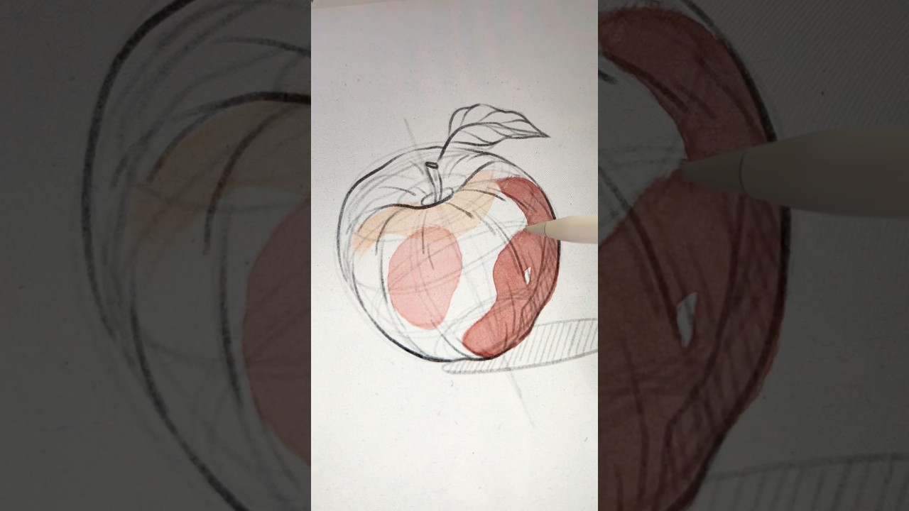 Sketching in Procreate ✏️ How to draw an Apple 🍎 #procreate #drawing #sketching #digitalart #sketch