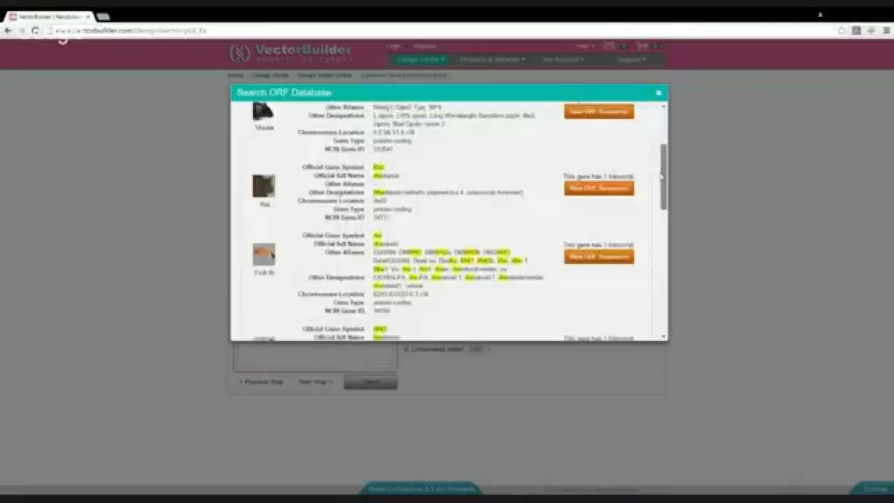 VectorBuilder.com Basic Vector Design Webinar