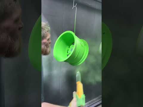Powder coating process is always cool to watch. #powdercoating #custom #satisfying #process