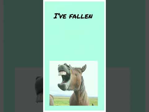 What did the horse say...
