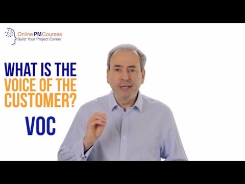 What is the Voice of the Customer (VOC)?