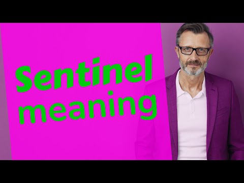 Sentinel | Meaning of sentinel