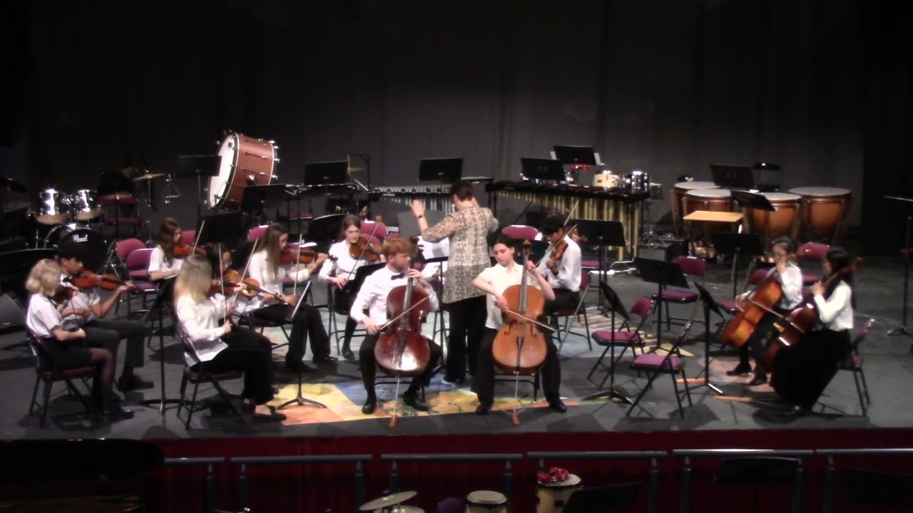 Chamber Orchestra - Vivaldi - Summer Concert