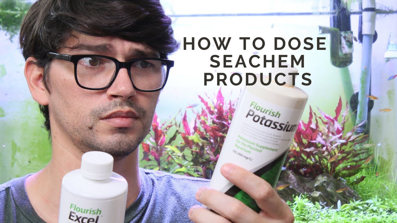 Seachem dosing video