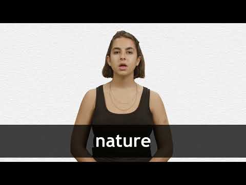 English Translation of “NATURE” | Collins French-English Dictionary