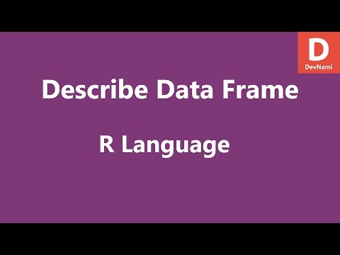 Learn R Programming Describe Data in Data Frame - Mind Luster