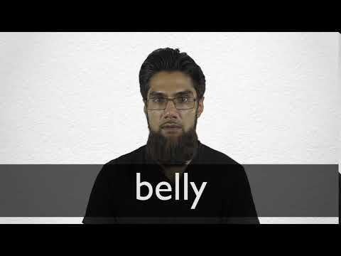 Traducción en español de “BELLY” | Collins Diccionario inglés-español