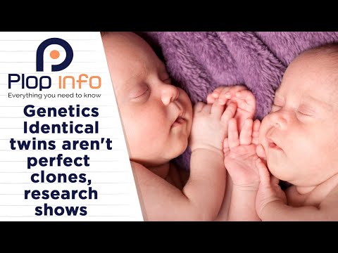 Identical Twins Are Not So Identical | Everything You Need To Know | Plop Info